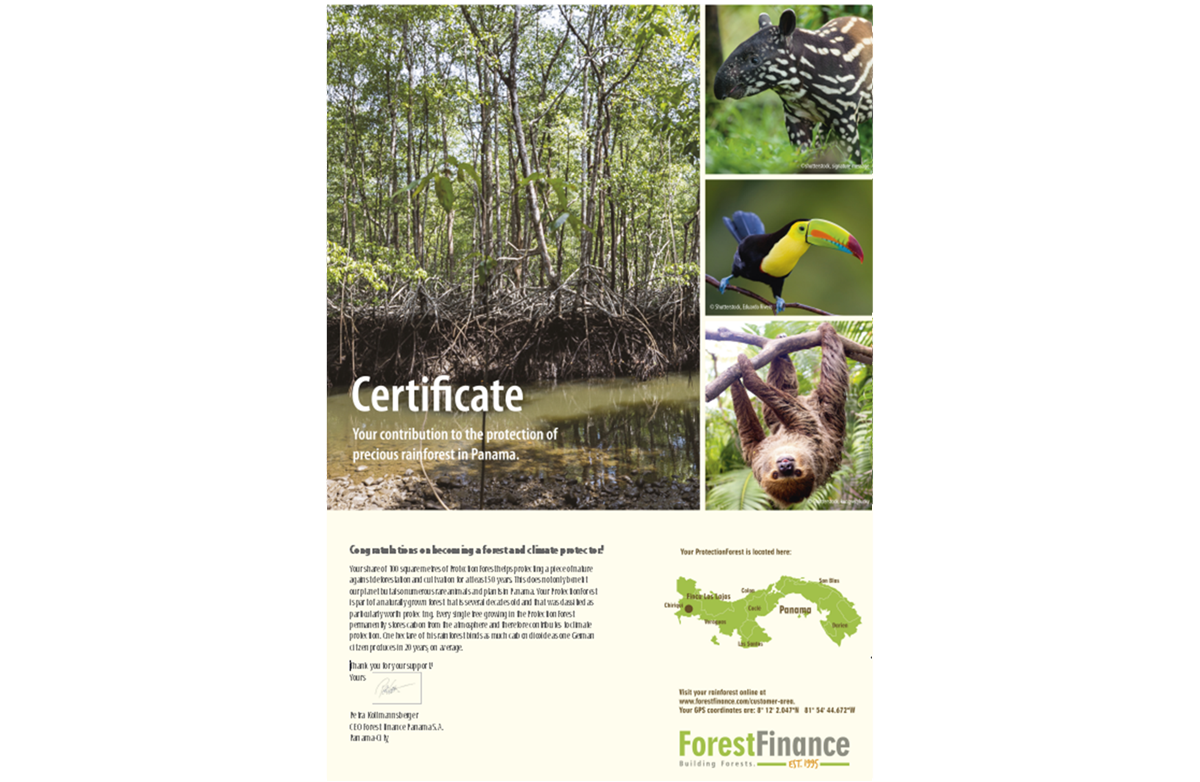 ProtectionForest | ForestFinance