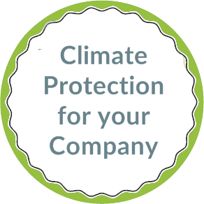 ProtectionForest | ForestFinance